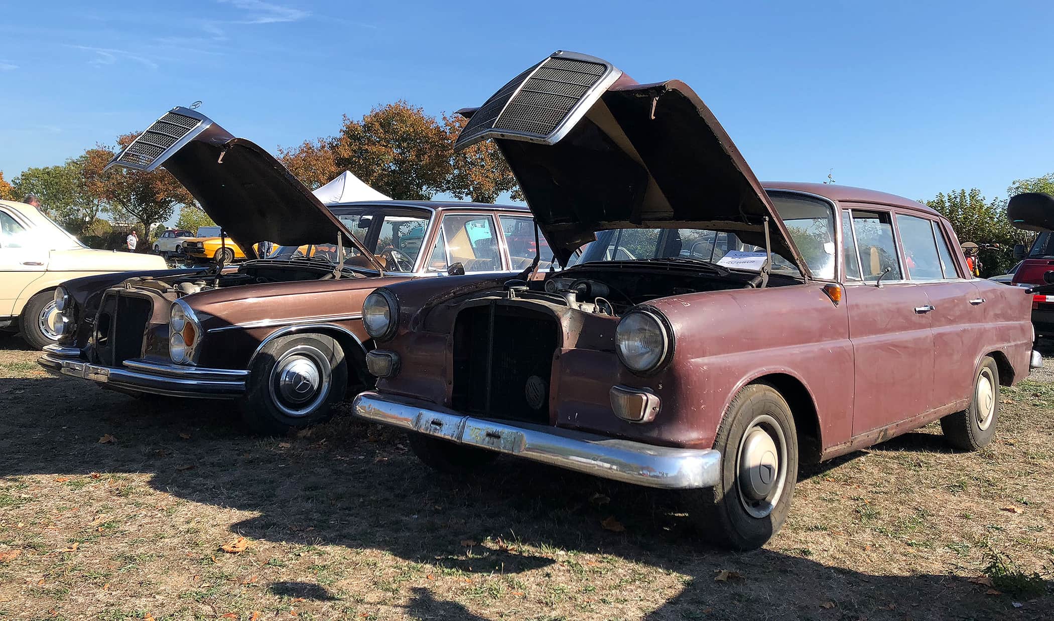 Oldtimer-Messen und Treffen 2021: Veterama abgesagt