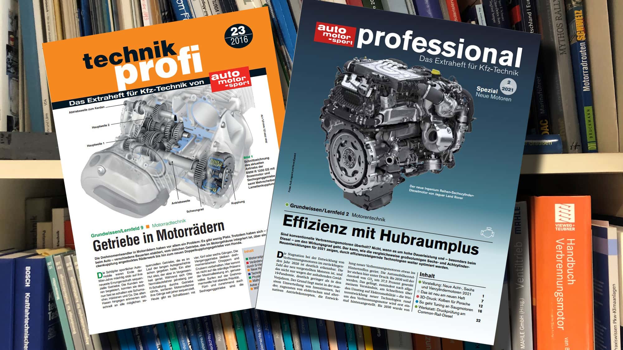 Inhaltsverzeichnis ams professional und Technik Profi
