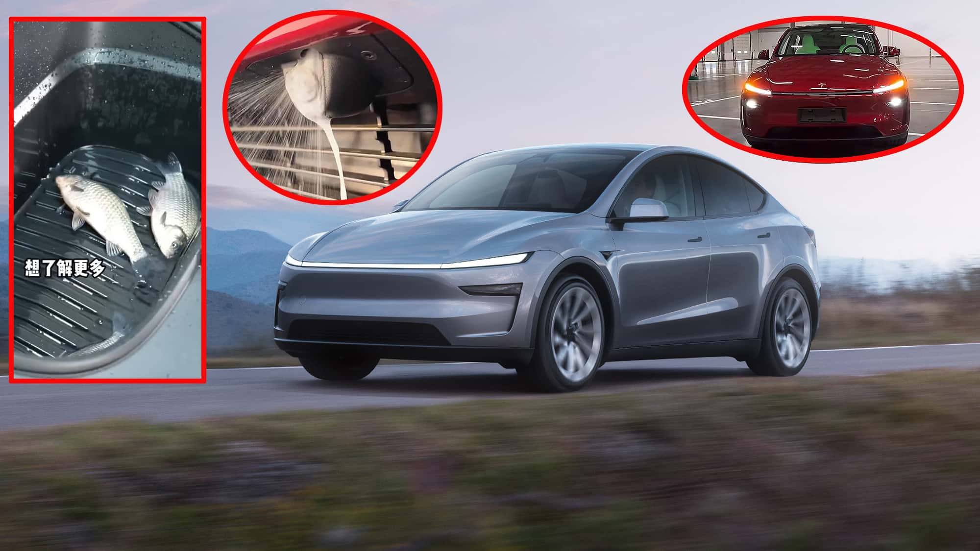 Tesla Model Y Facelift: 5 Gaga-Features des Project Juniper
